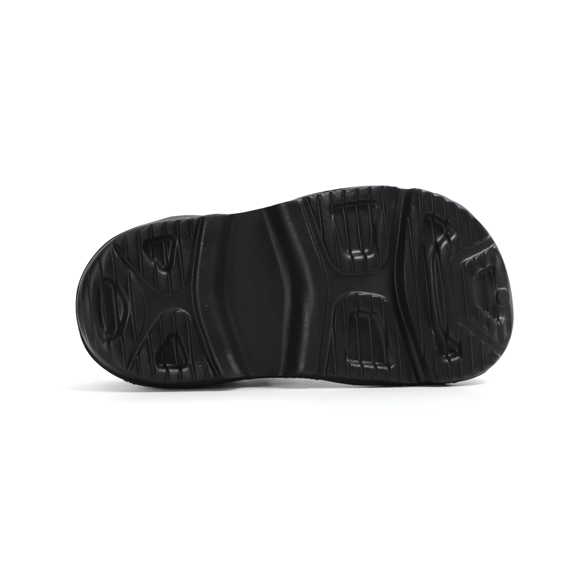 Darwin Slides – Spiffers