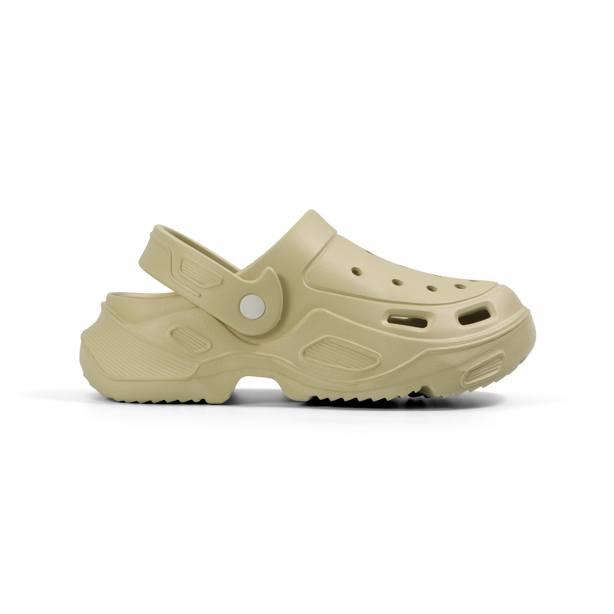 Darwin Slides – Spiffers